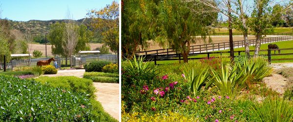 Peacefield Farm - Wynn Smith Landscape Architecture