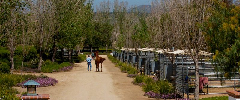 Peacefield Farm - Wynn Smith Landscape Architecture