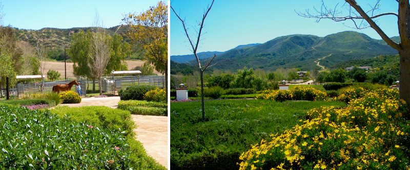 Peacefield Farm - Wynn Smith Landscape Architecture