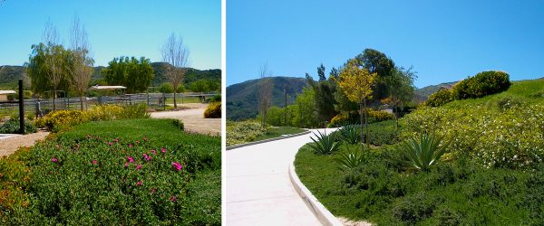 Peacefield Farm - Wynn Smith Landscape Architecture